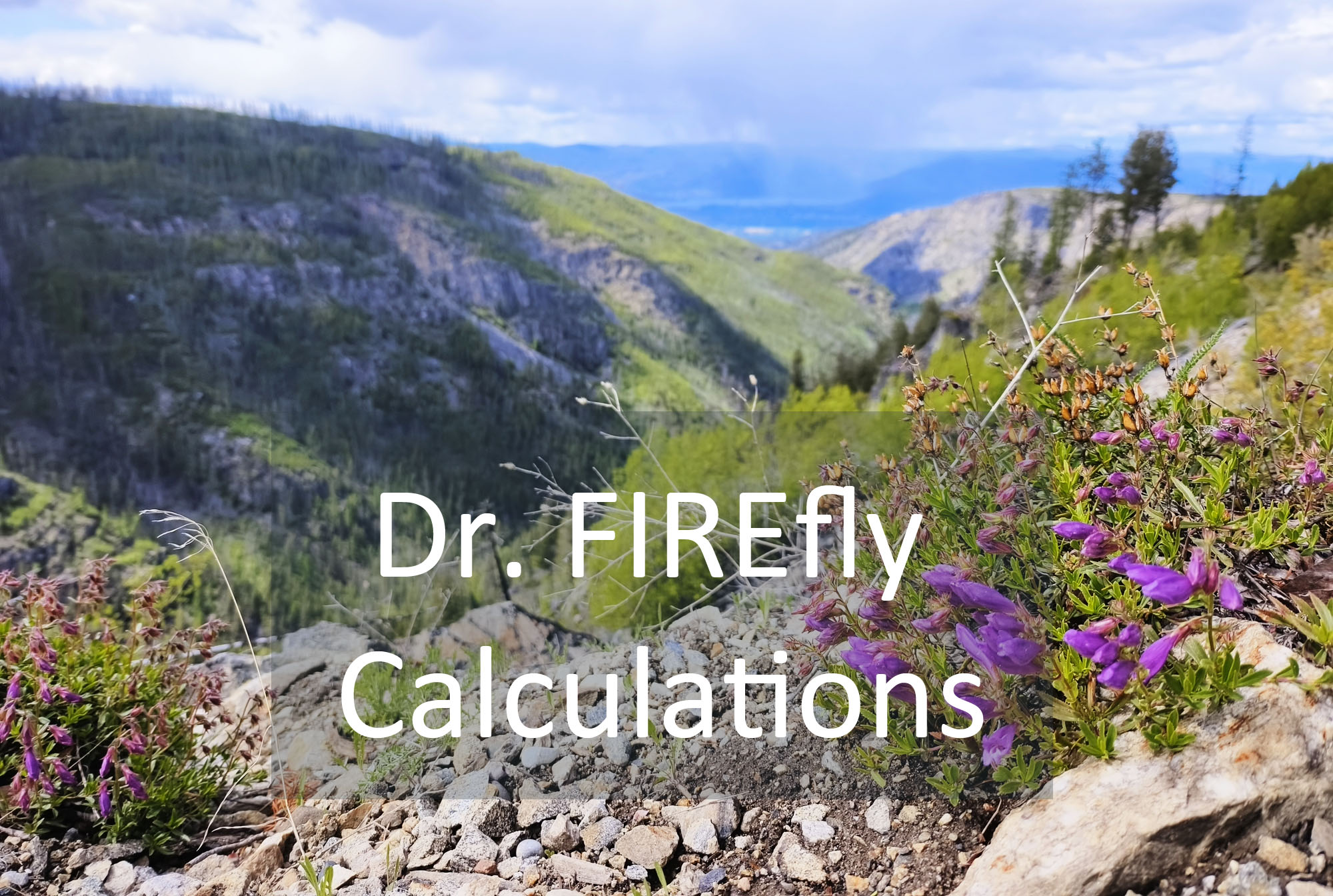 Dr. FIREfly Calculations - Dr. FIREfly